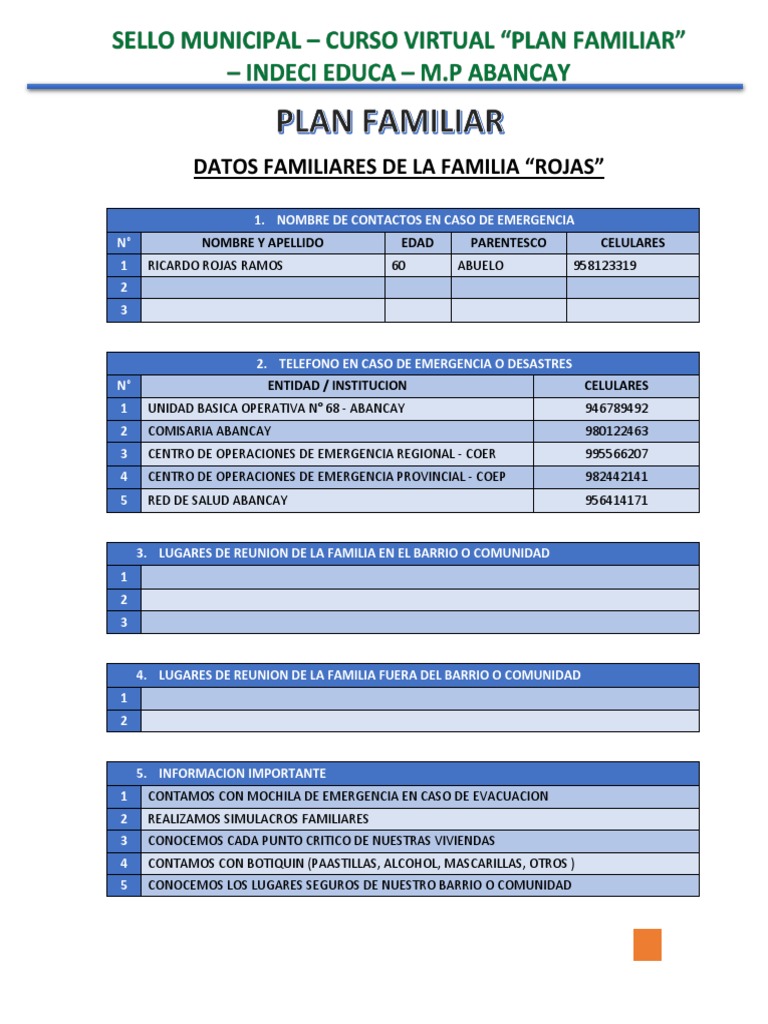 Modelo De Plano De Emergencia Familiar 2.700+ Plan De Emergencia
