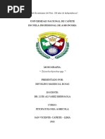 Socopó - Wikipedia, La Enciclopedia Libre | PDF | Venezuela