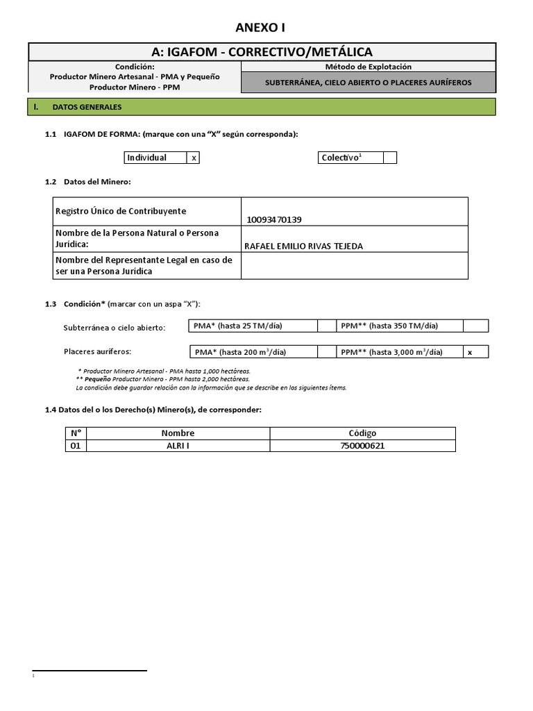 Formato Igafom - Metalica - Correctivo Rafael Emilio Rivas Tejeda | PDF ...