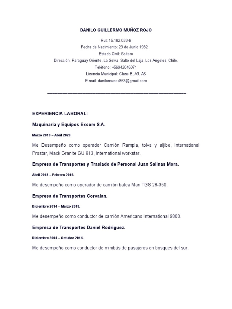 Curriculum Danilo Muñoz | PDF