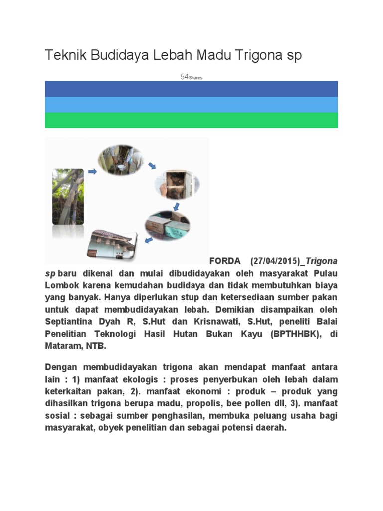 Teknik Budidaya Lebah Madu Trigona SP | PDF