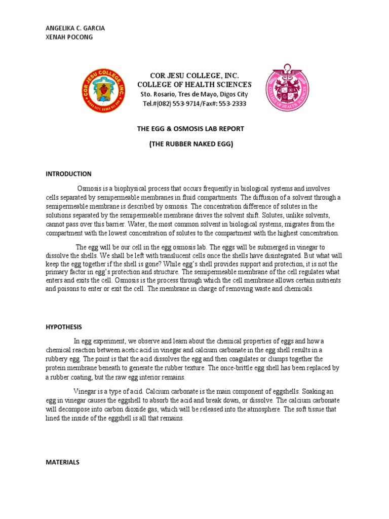 Lab Report (Egg and Osmosis) | PDF | Osmosis | Cell Membrane