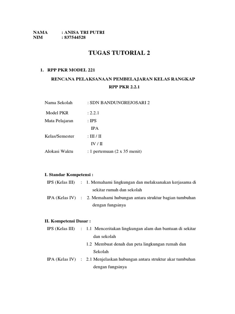 RPP PKR Model 221 Kelas 3 Dan 4 | PDF