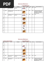 Autonomous Maintenance Standards & Checklist | PDF | Diesel Engine ...