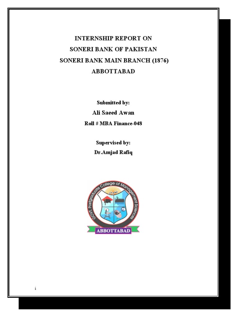 Soneri Bank Report Compress | PDF | Banks | Transaction Account