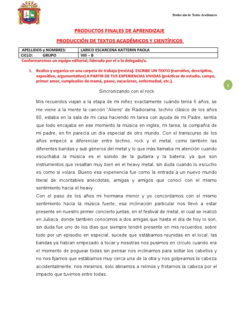 Indicaciones Producto Final | PDF | Ensayos | Coma