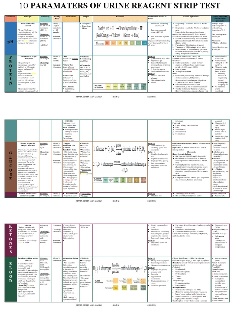 10 Parameters of Urine Reagent Strip | PDF | Glucose | Clinical Medicine