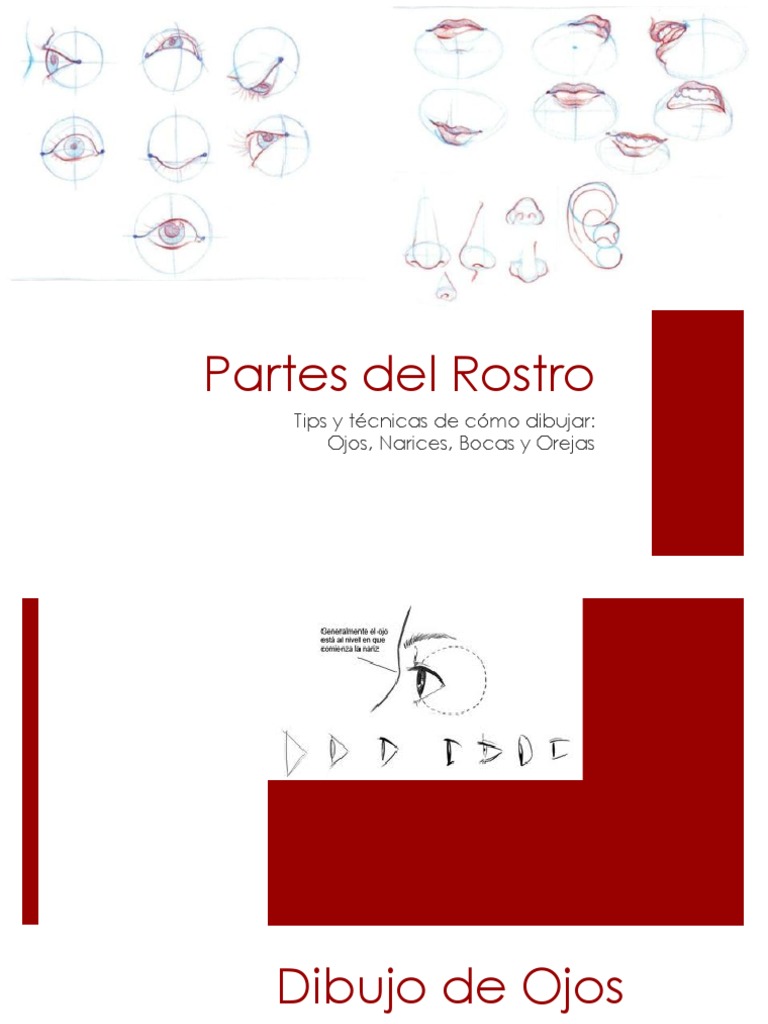 Técnicas Para Dibujar Partes Del Rostro Pdf Dibujo Ojo