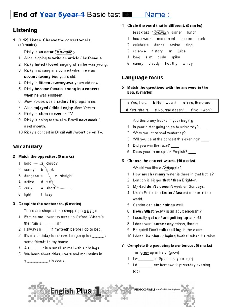 Y5 Summative Test | PDF