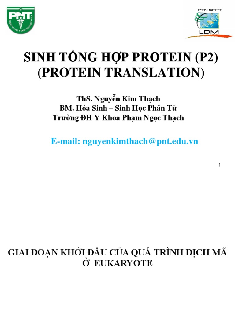 Sinh Tong Hop Protein (p2) | PDF