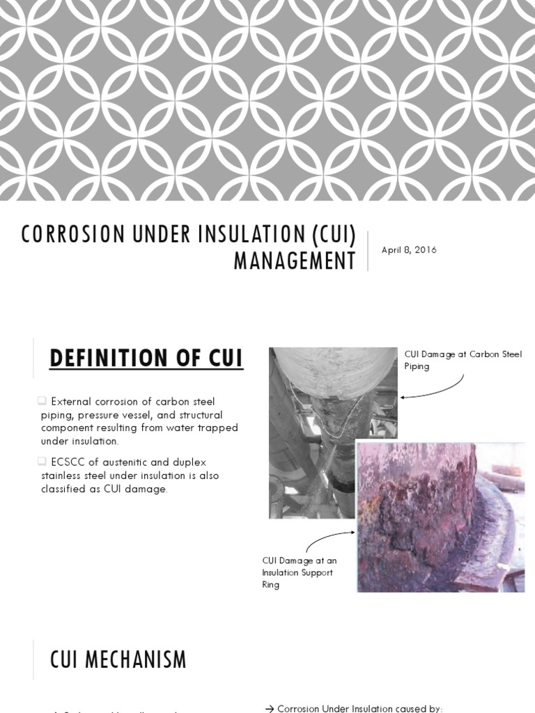 Lunch N Learn - CUI Management | PDF | Corrosion | Stainless Steel