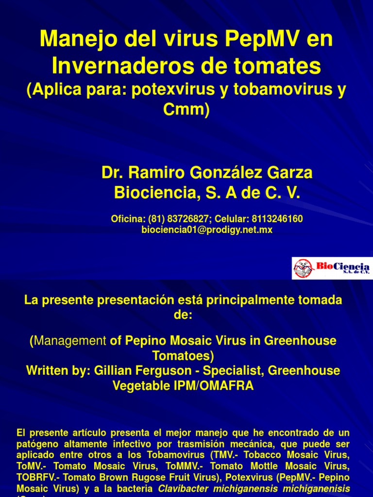 Manejo Del Virus PepMV, ToBRV y CMM 2 en Invernaderos de Tomates | PDF ...