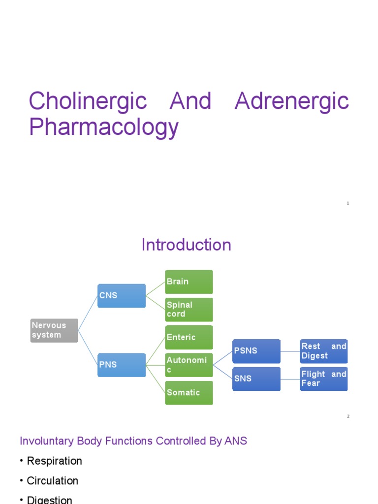 Cholinergic Pharmacology | PDF | Acetylcholine | Physiology