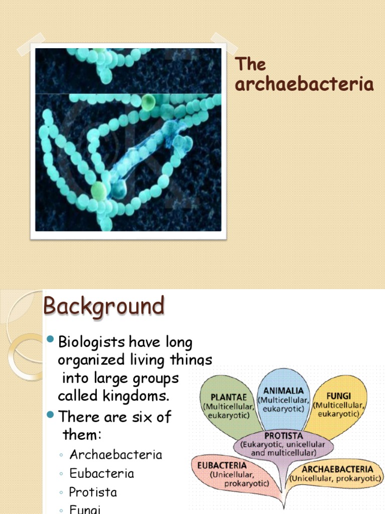 Archea | PDF | Archaea | Cell (Biology)