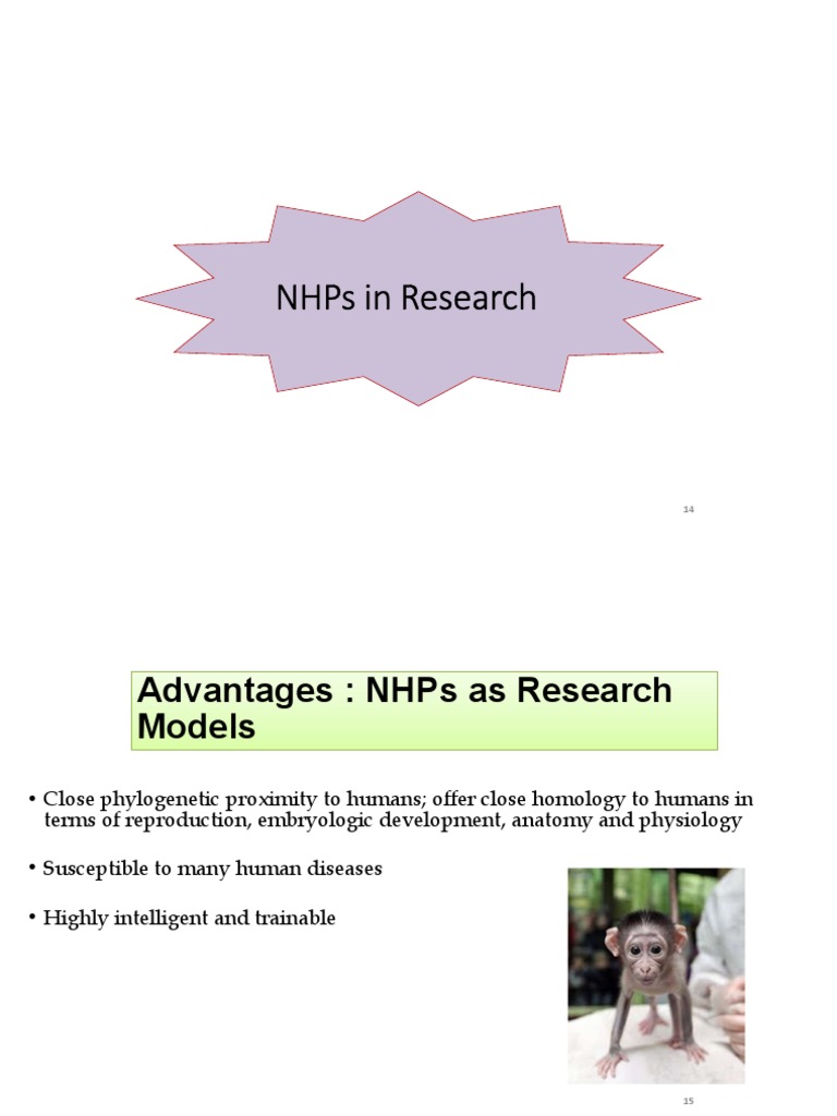 NHP in Research | PDF
