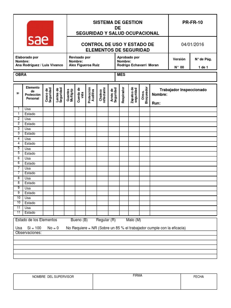 Uso y Control de EPP | PDF