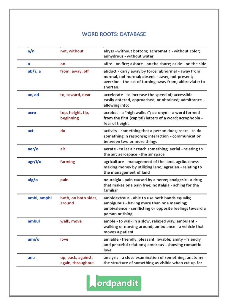 Root Word Examples and Meanings | PDF