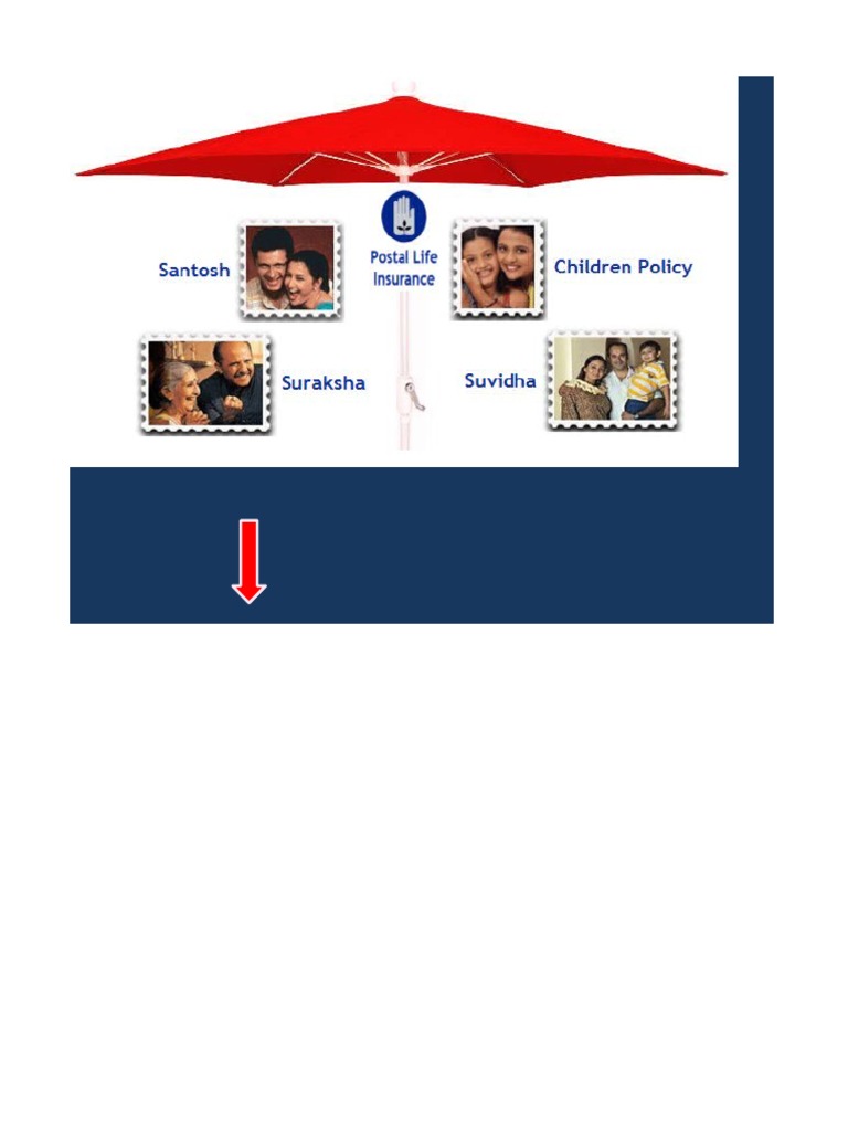 3.rpli Manual Calculator | PDF | Money | Financial Risk