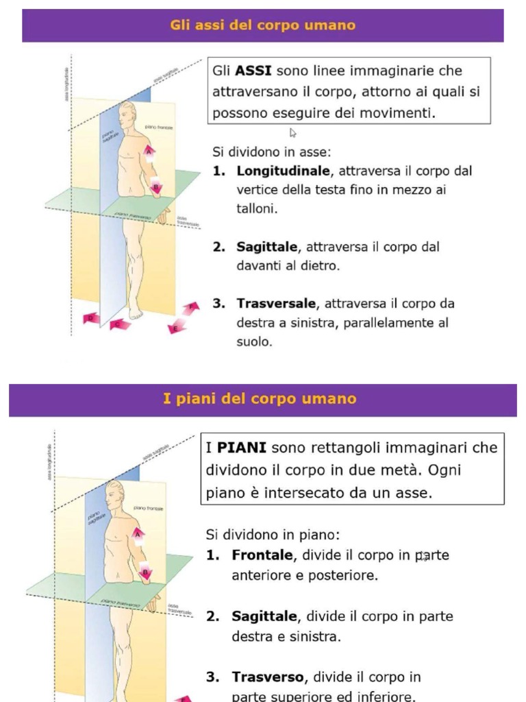 Piani e Assi Del Corpo Umano | PDF