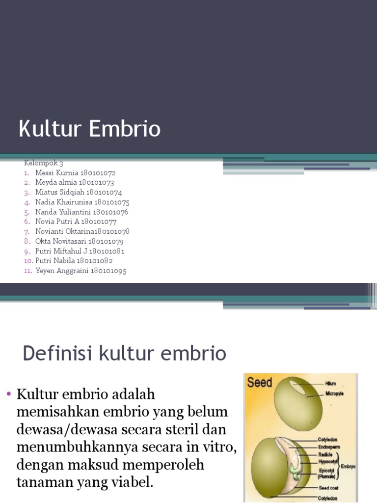 Kultur Embrio Kel.3 | PDF