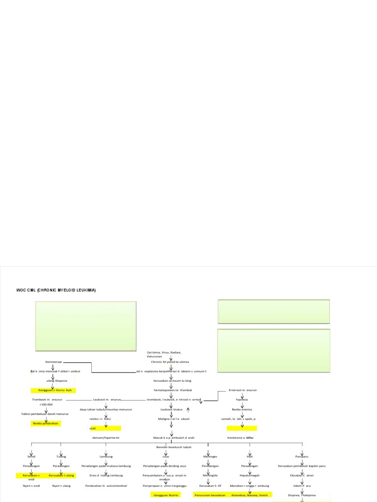 Panduan CML untuk Profesional Medis | PDF