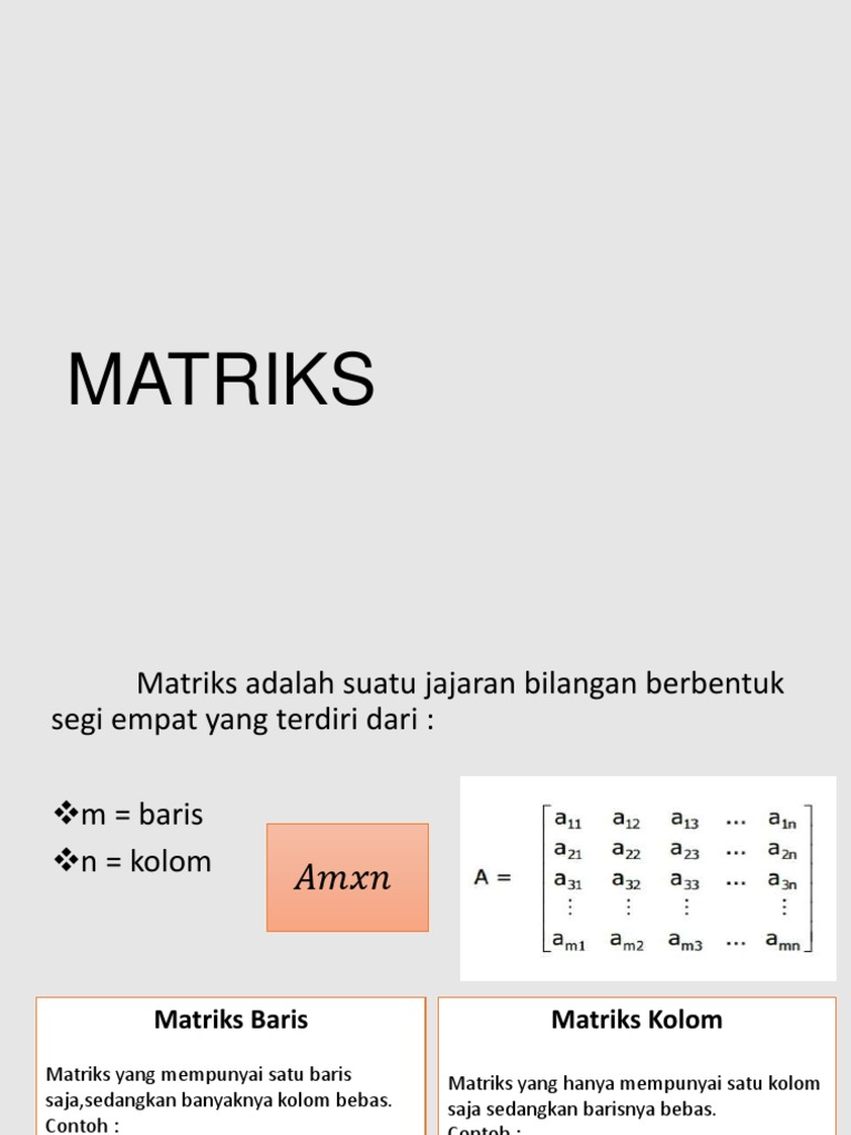 Panduan Dasar Matriks | PDF