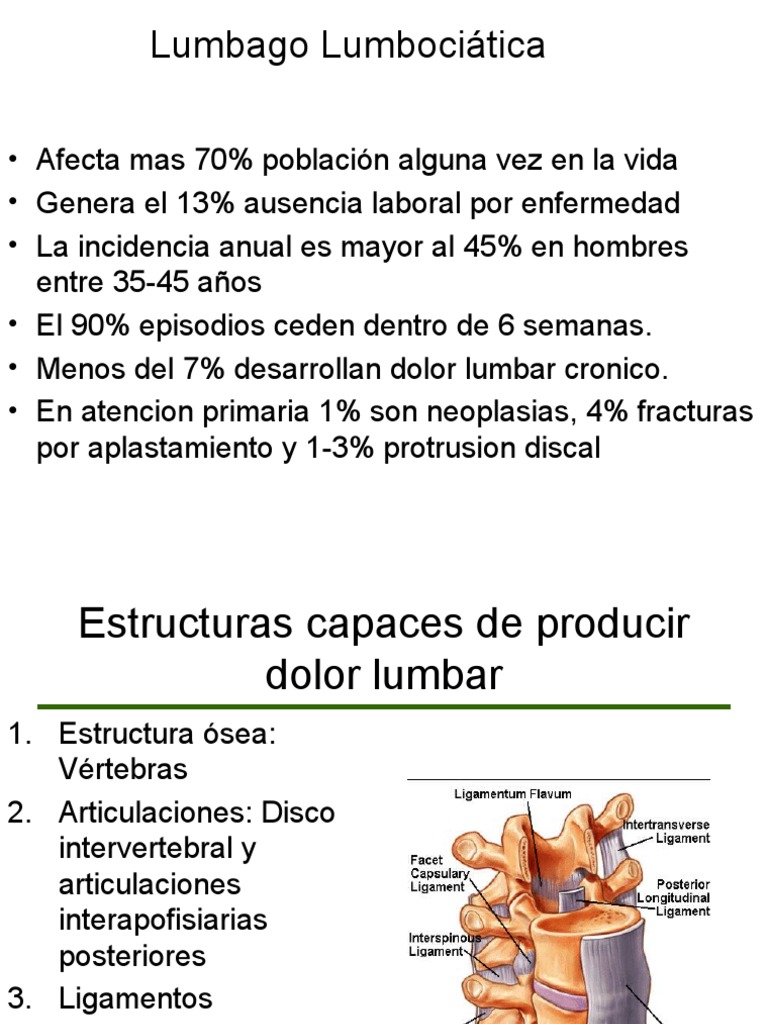 Lumbago | PDF | Dolor lumbar | Anatomía humana