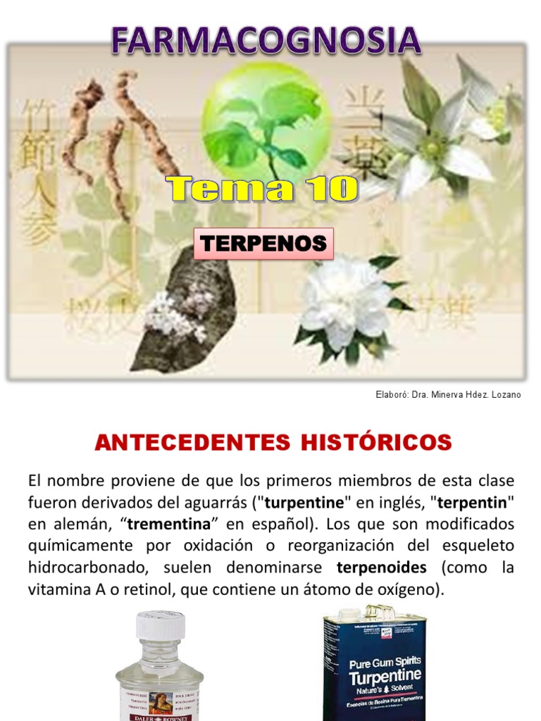 Terpenos Pdf Compuestos Orgánicos Sustancias Químicas