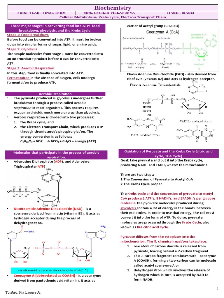 TRANSES - BIOCHEM - Cellular Metabolism - Krebs Cycle, Electron ...