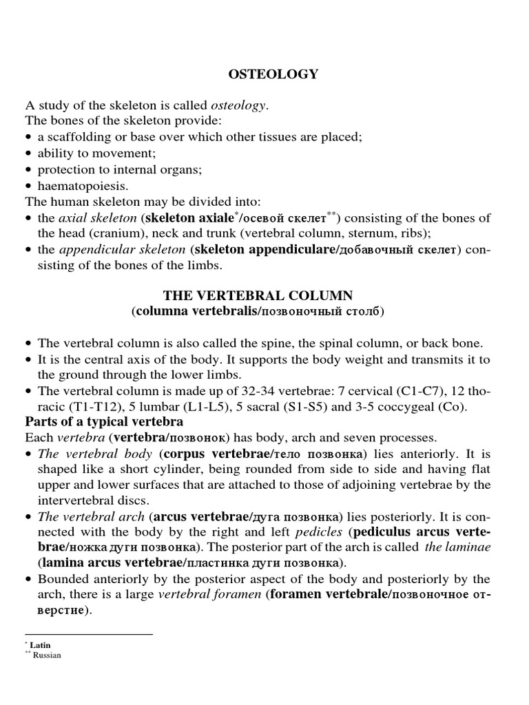 Osteology Bones | PDF | Vertebra | Vertebral Column