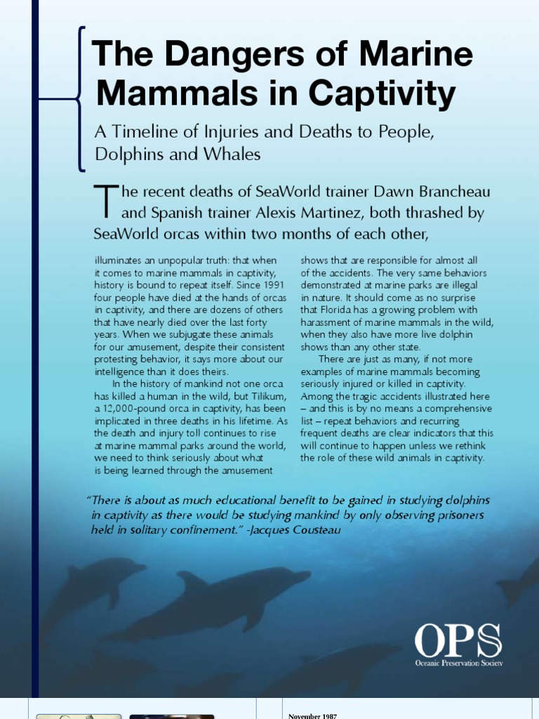OPS Timeline: The Dangers of Marine Mammals in Captivity | PDF | Sea ...