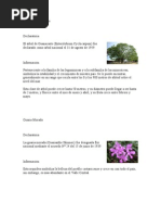 Asocie Simbolos Nacionalesde Costa Rica | PDF