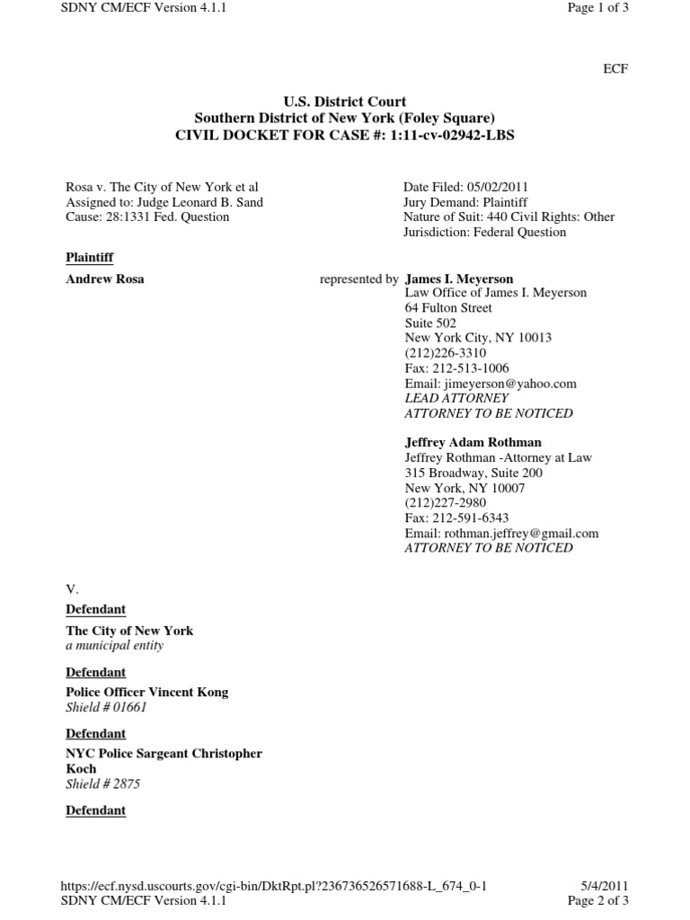 Andrew Rosa v. The City of New York and New York City Police Officers ...