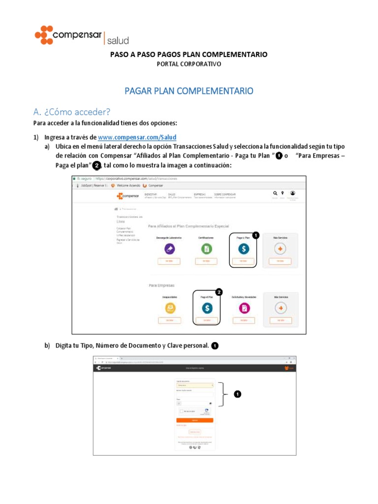Paso A Paso Pagos de Plan Complementario | PDF | Informática | Software