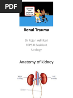 AAST Renal Injury Scale | PDF | Kidney | Injury
