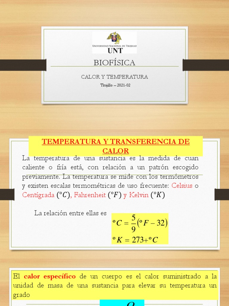 Calor y Temperatura | PDF | Calor | Temperatura