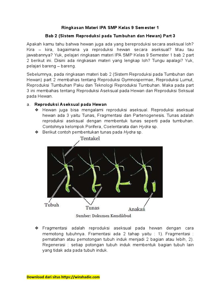 Reproduksi Hewan: Aseksual & Seksual | PDF | Kesehatan Holistik