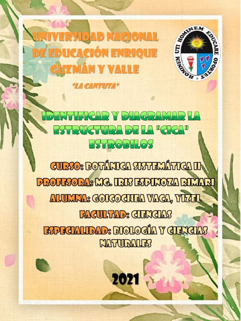 2identificar La Cica | PDF