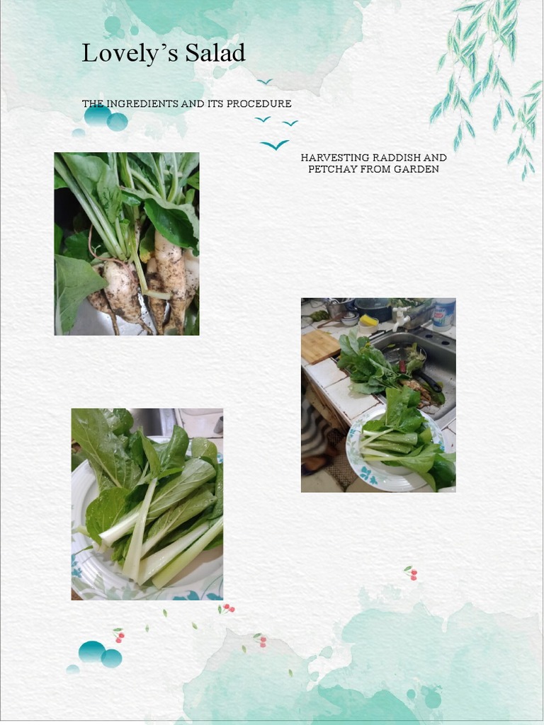 The Ingredients and Its Procedure Salad | PDF
