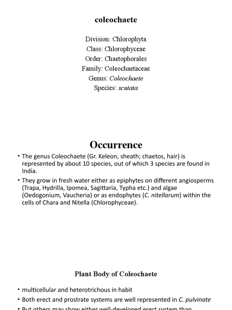 Coleochaete | PDF | Sexual Reproduction | Fertilisation