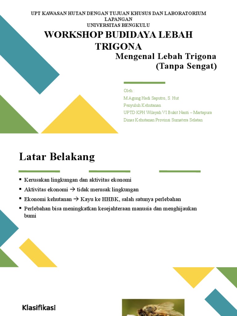 Budidaya Lebah Trigona Tanpa Sengat | PDF | Teknologi & Rekayasa