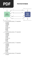SBI4U Unit 1 Biochemistry Practice Test | PDF | Enzyme | Fat