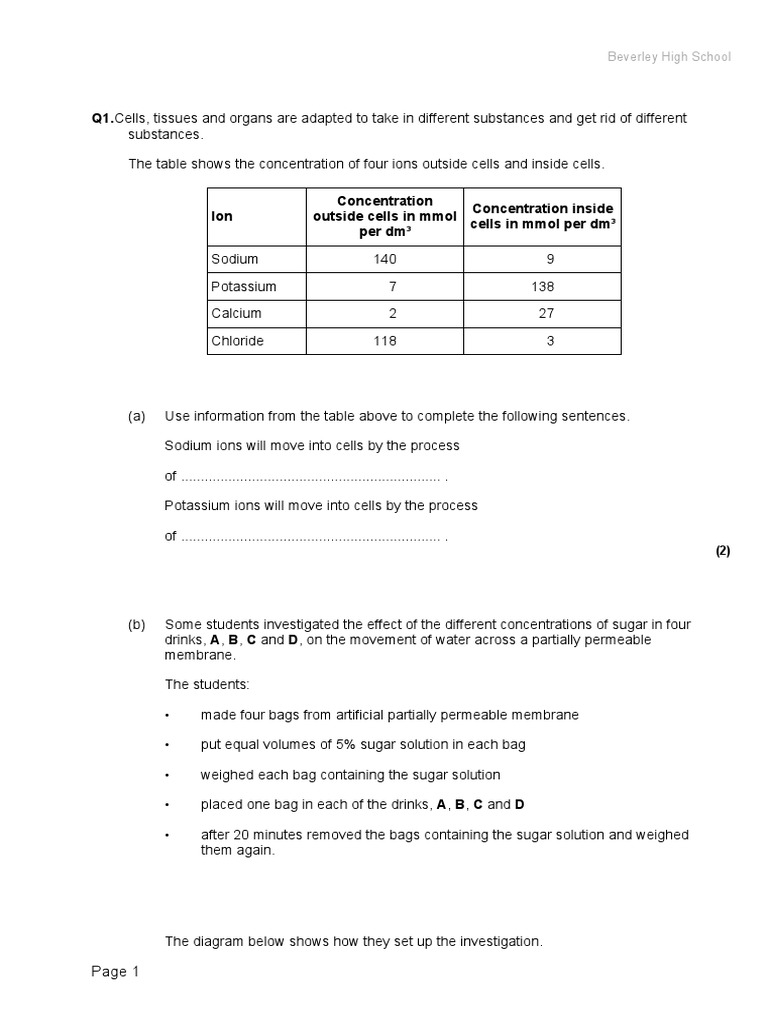 Topic 1 - Cell Transport | PDF | Osmosis | Stoma