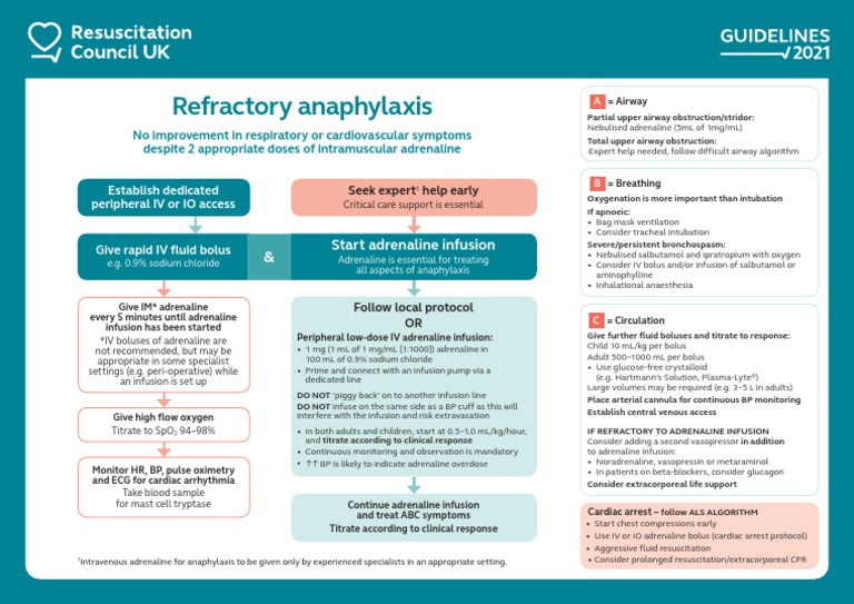Refractory Anaphylaxis Algorithm 2021 | PDF | Intravenous Therapy ...