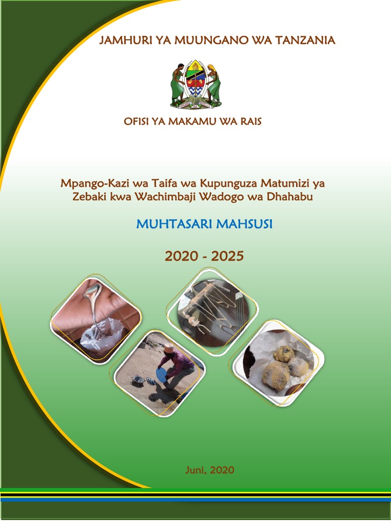 Mpango-Kazi Wa Taifa Wa Kupunguza Matumizi Ya Zebaki 2020-2025 | PDF