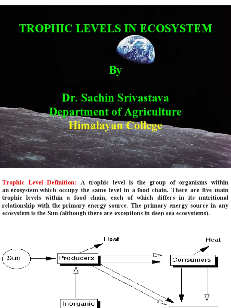Trophic Levels in Ecosystem: Himalayan College | PDF | Food Web | Ecosystem