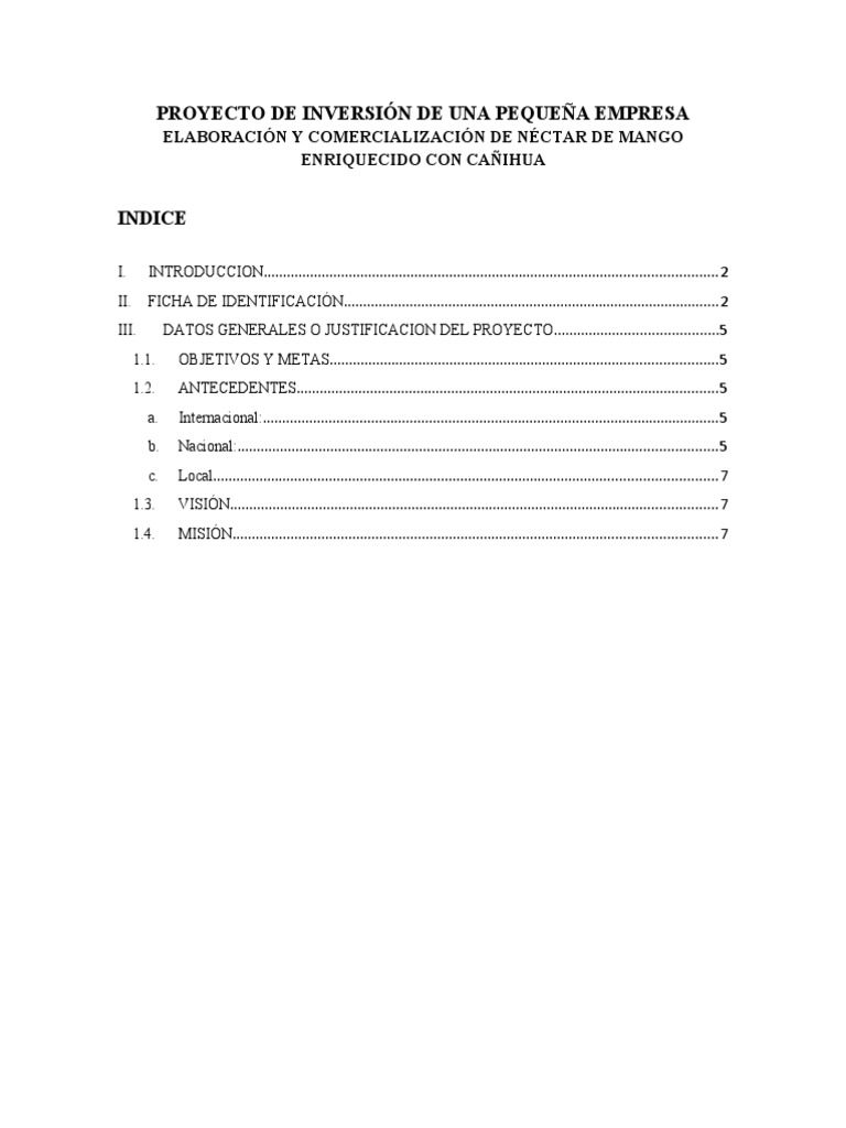Informe Proyecto de Inversión de Una Pequeña Empresa | PDF | Tasa ...