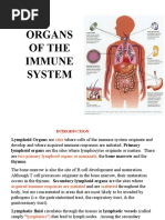 Tissue and Organs of The Immune System: Learning Goals | PDF | Lymph Node | Lymphatic System