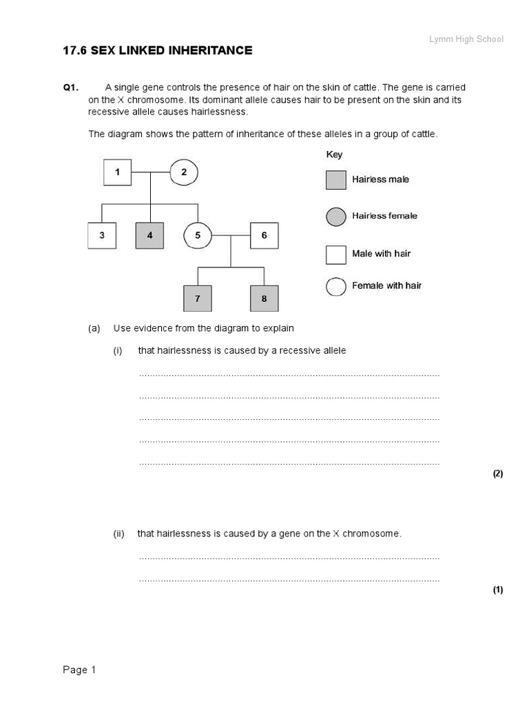 Sex Linked Inheritance Practice Qs | PDF | Genotype | Allele