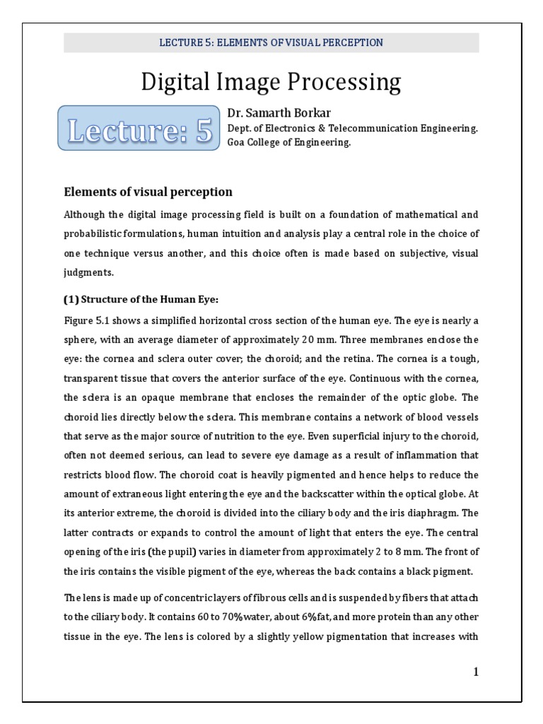 DIP Lecture 5 - Elements of Visual Perception. | PDF | Eye | Retina